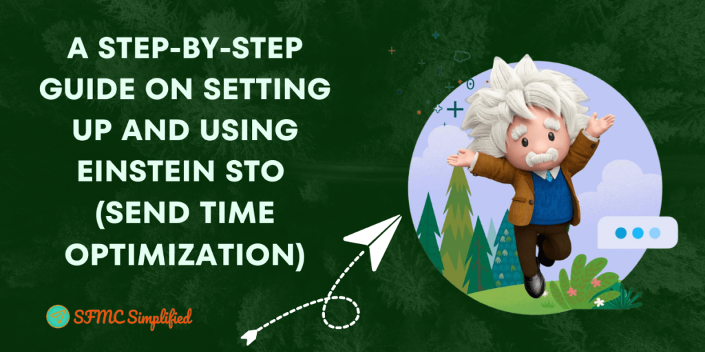 A Step-by-Step Guide on Setting Up and Using Einstein STO (Send Time ...